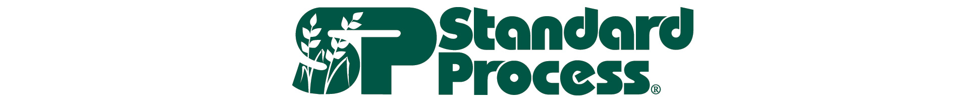 Standard Process - Magnesium Lactate - 90 Capsules | eBay